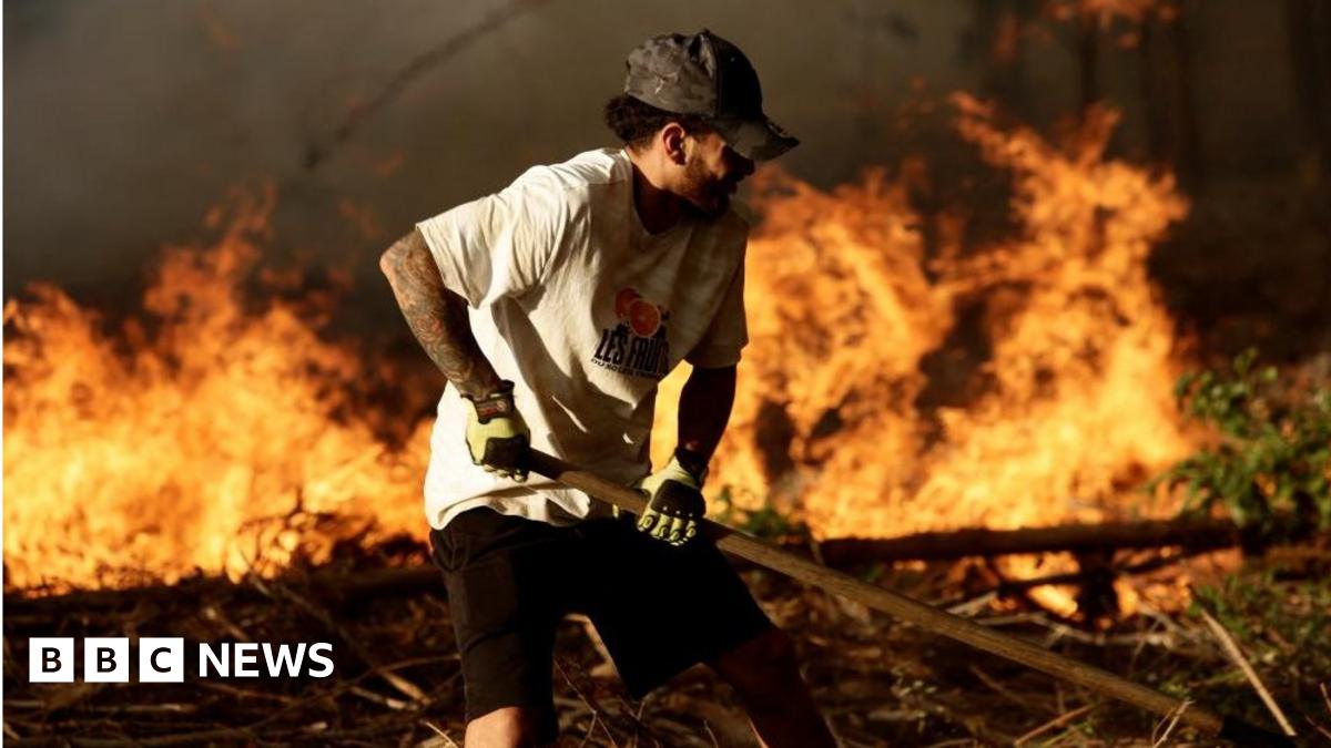 Chile forest fires: Heatwave puts new regions at risk - BBC News