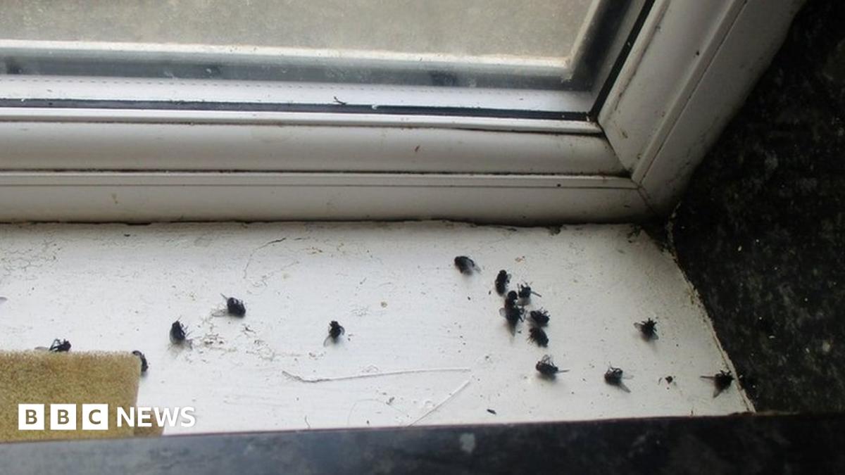 Stoke-on-Trent landlord handed £11.8k fine for running HMO without ...