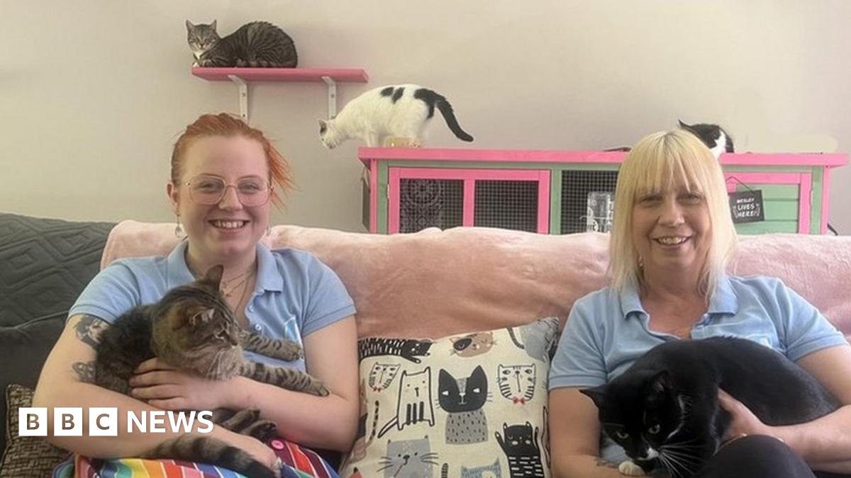 Cats: The mum and daughter living with more than 70 pets - BBC News