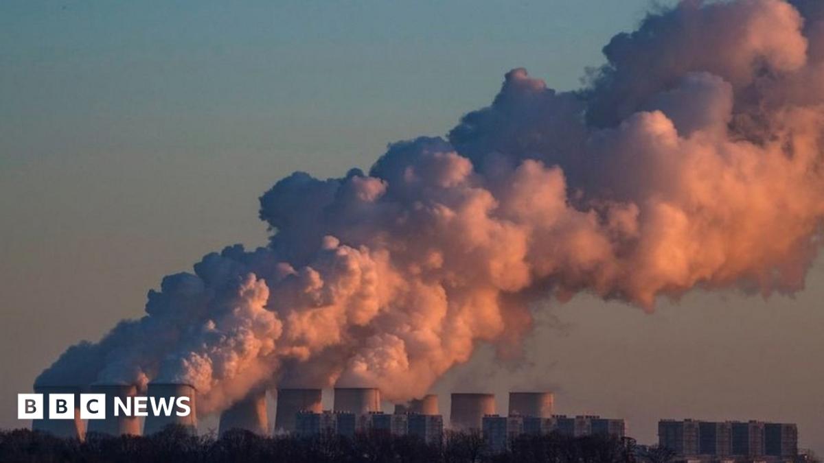 COP27: Sharp rise in fossil fuel industry delegates at climate summit ...
