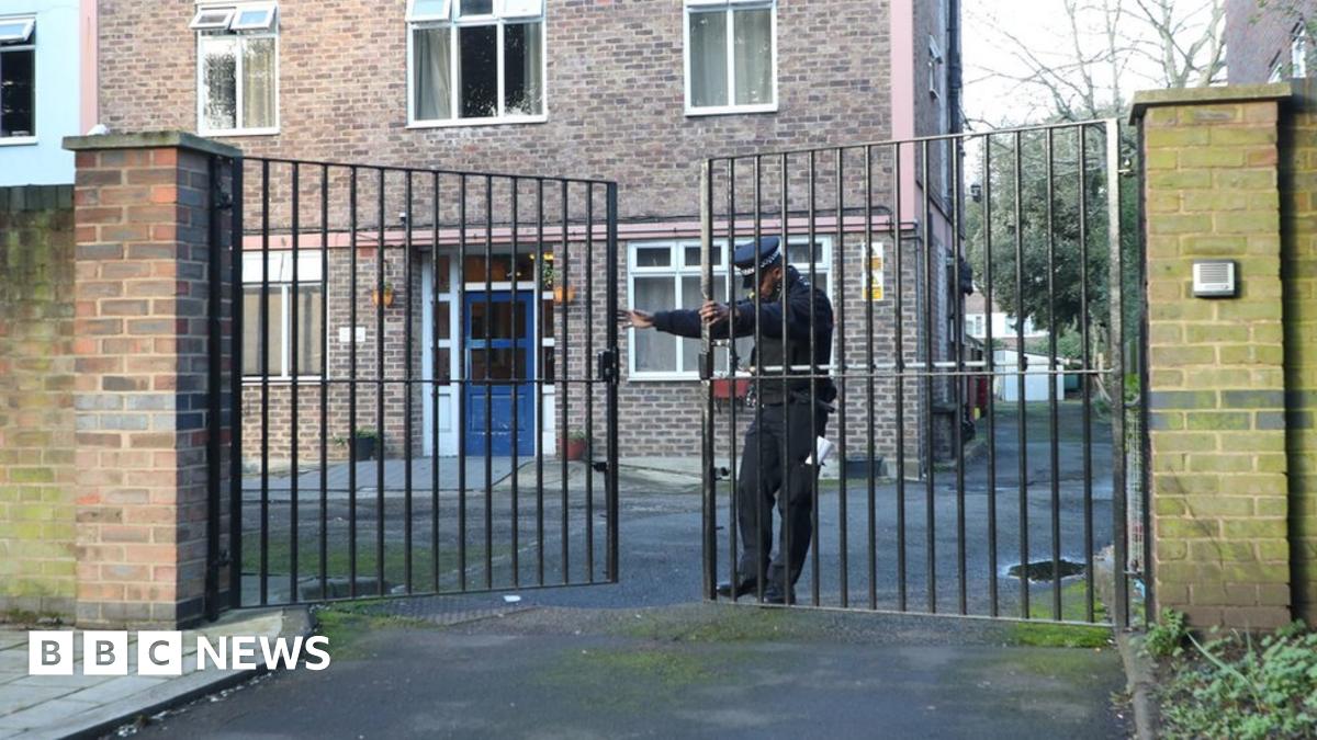 Streatham attack: Police search homes as attacker Sudesh Amman named ...