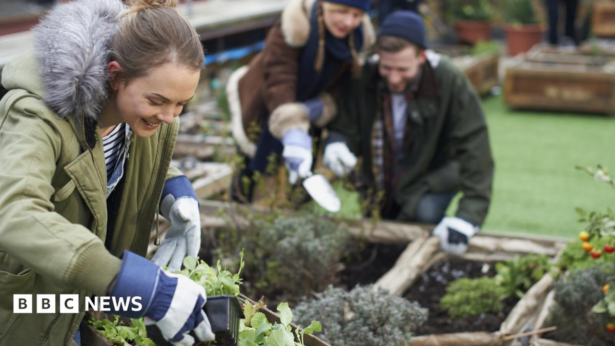 Winchester community projects get £1.5m boost - BBC News