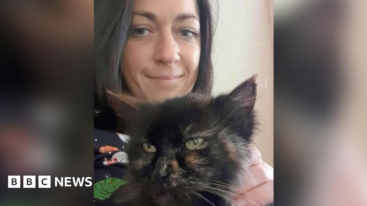 'Christmas miracle' as cat missing for nine years returns - BBC News
