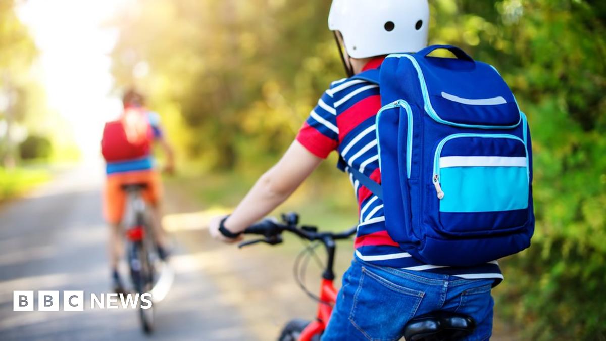 Craigavon: Pupils face 'increased danger' after bridge demolition ...