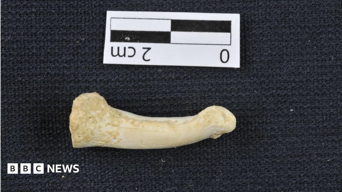 Homo luzonensis: New human species found in Philippines - BBC News