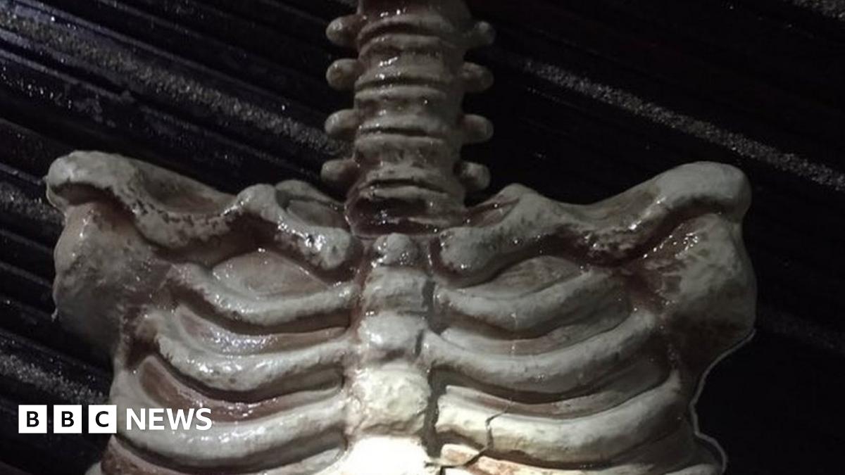 Floating rib cage sparks Southsea coastguard search - BBC News