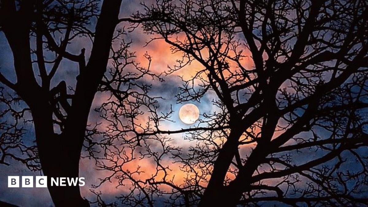 Wolf Moon: First full moon of 2024 dazzles in Northern Ireland - BBC News