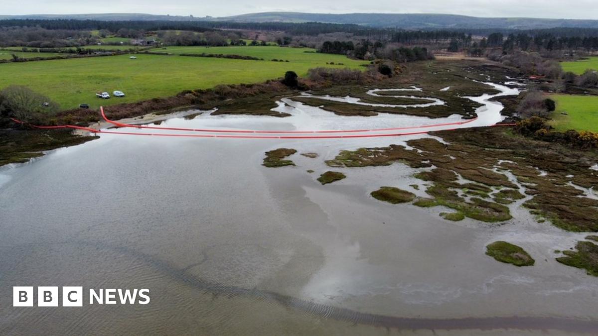 Poole Harbour oil spill: Perenco UK pledges no repeat - BBC News