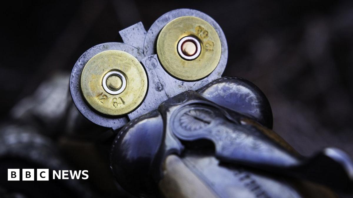 Gun laws: Restrictions call after firearm ownership data - BBC News