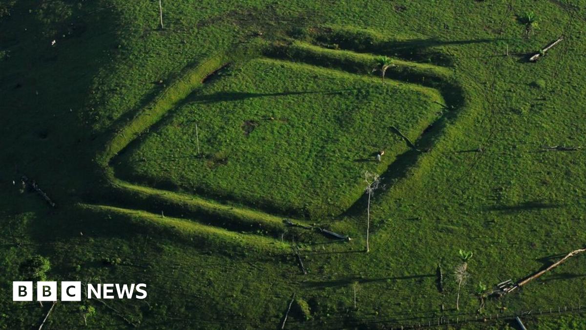 Humans in Amazon rainforest 'earlier than thought' - BBC News