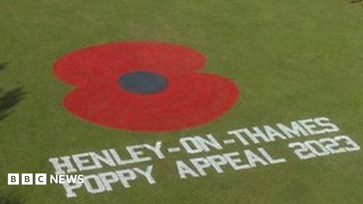 Remembrance Day: Giant poppy painted on Henley-on-Thames meadow - BBC News