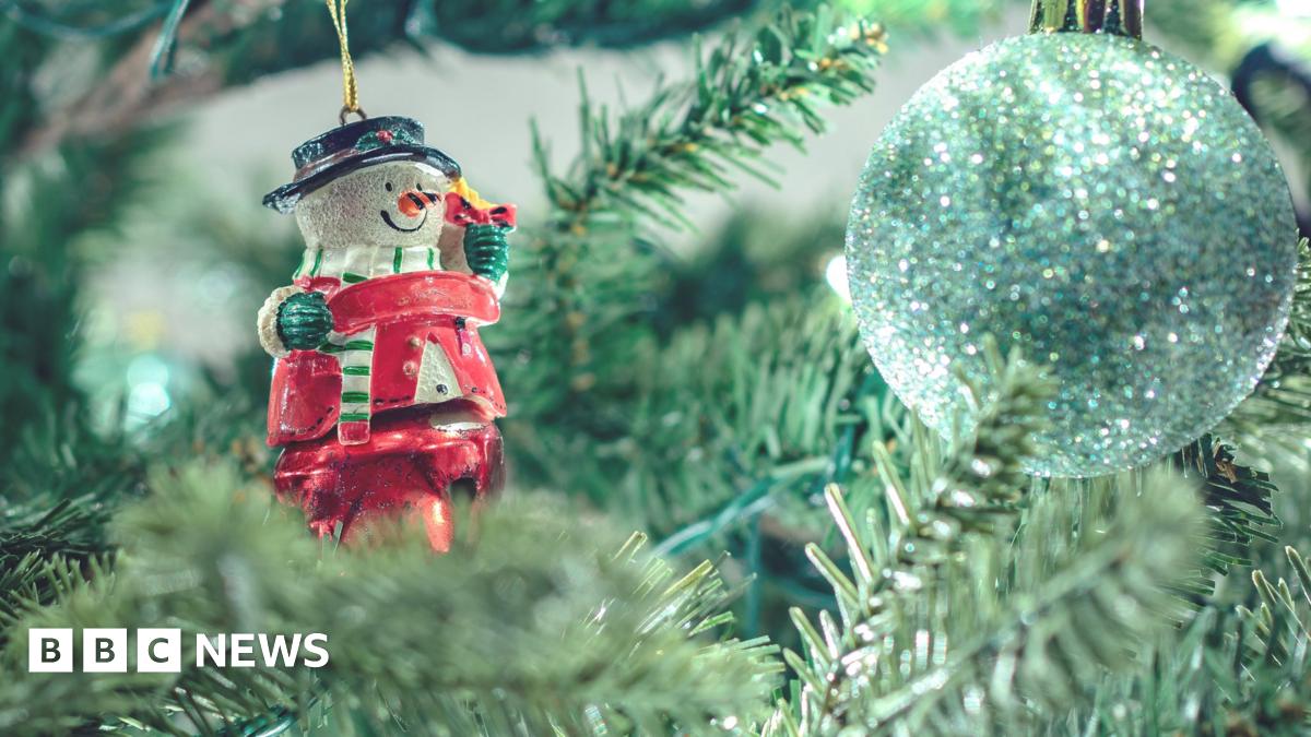 Your Christmas tree could help save the planet - BBC News