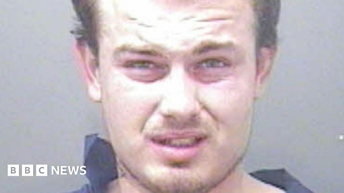 Baby killing dad Liam Laverick's domestic abuse known to authorities ...