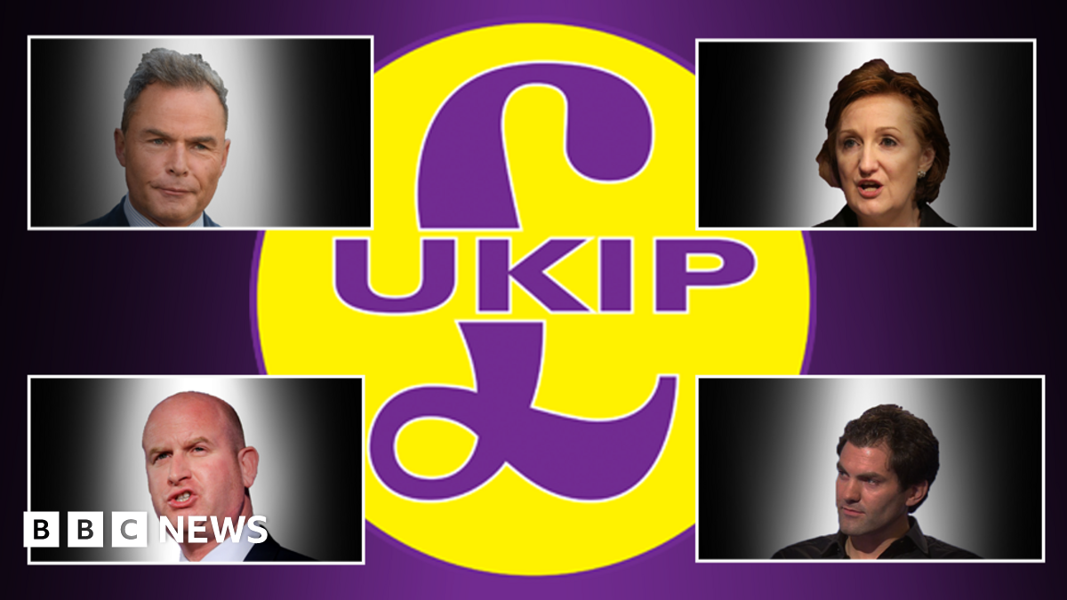 Embarrassments do not make UKIP a shambles, says Neil Hamilton - BBC News