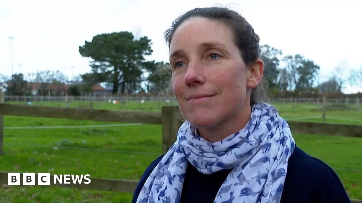 Plan for Guernsey energy needs delayed again - BBC News