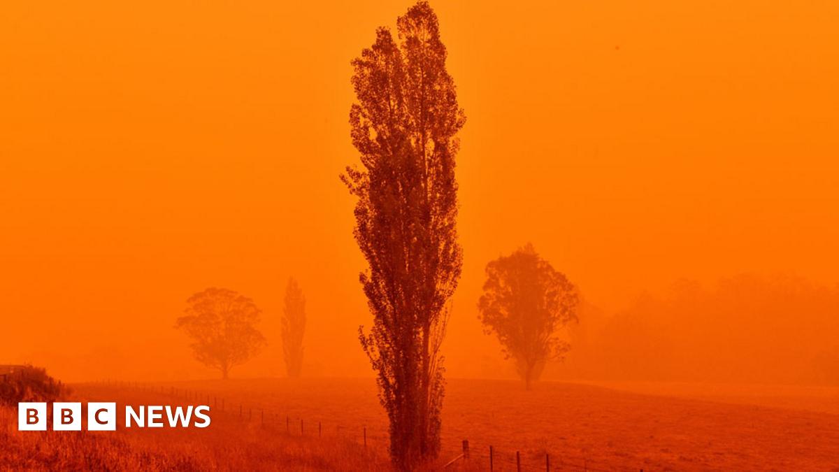 Australia fires: A visual guide to the bushfire crisis - BBC News