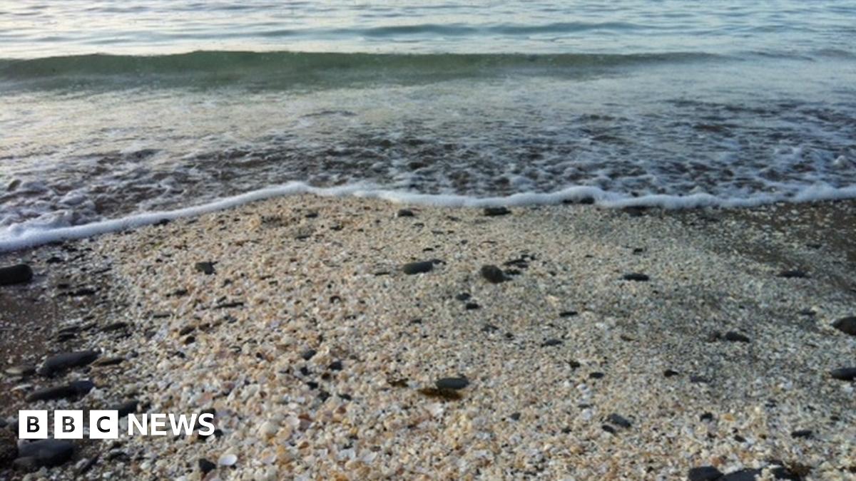 New Quay shellfish waste dumping licence granted - BBC News
