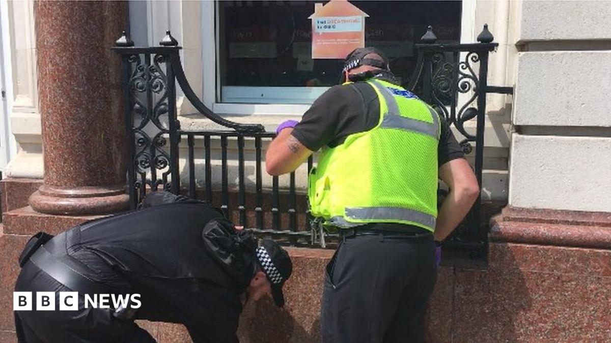 Luton carnival: Police crackdown on knife crime - BBC News
