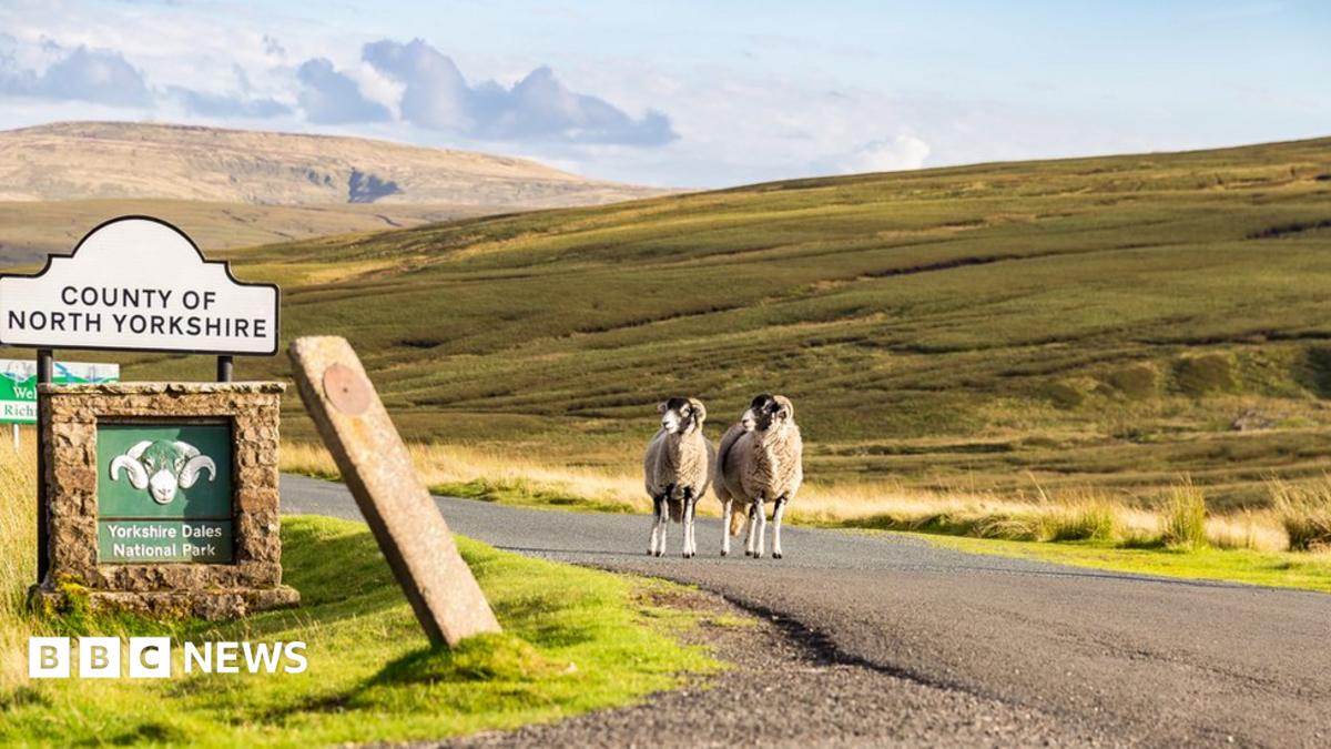 North Yorkshire Council rebrand to cost nearly £400,000 - BBC News