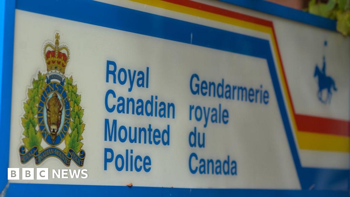 Wild horses found shot dead, Canadian police say - BBC News