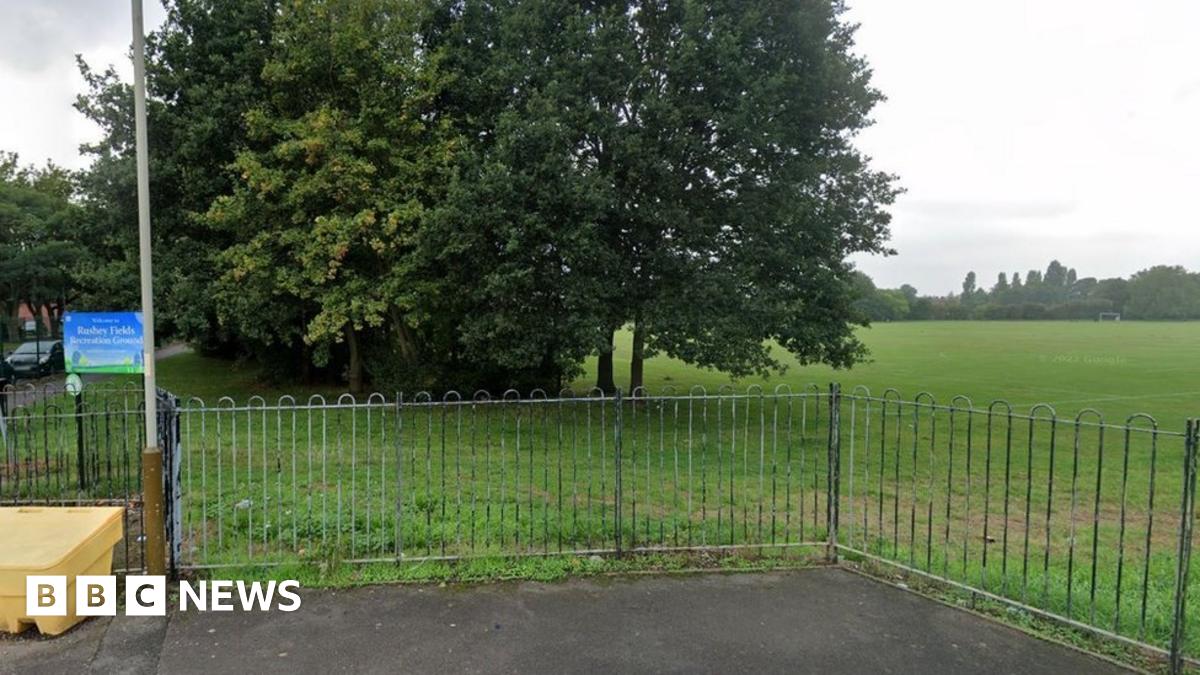 Leicester: Seven men bailed over park fight with cricket bats - BBC News