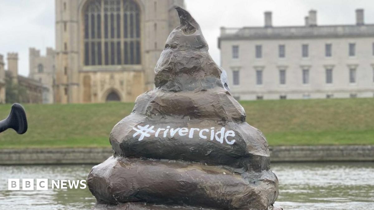 Cambridge giant poo models highlight river pollution - BBC News