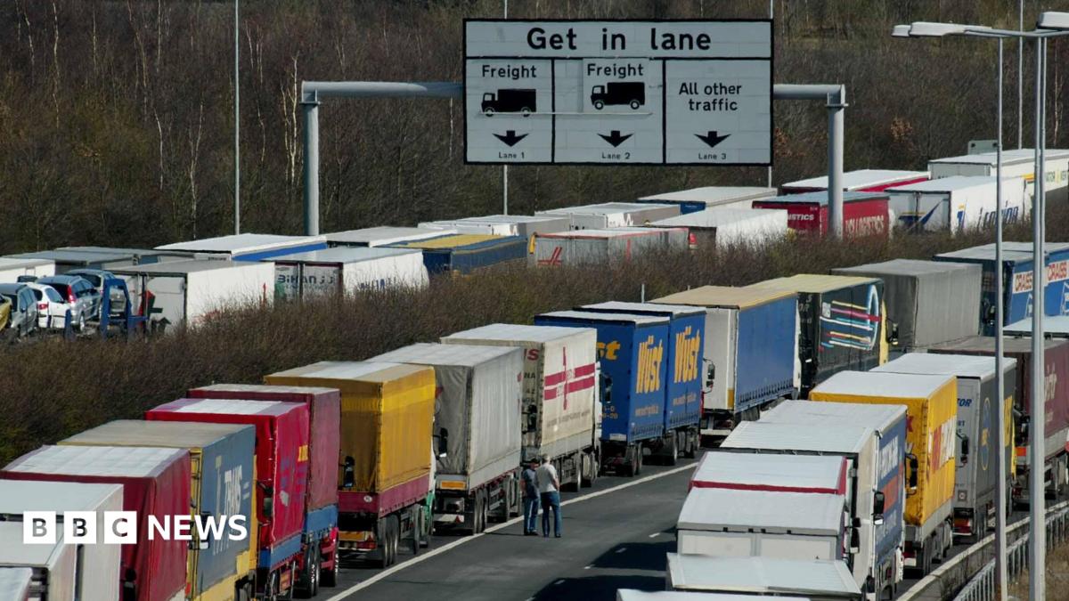 Post-Brexit border checks 'may triple queues' to port - BBC News