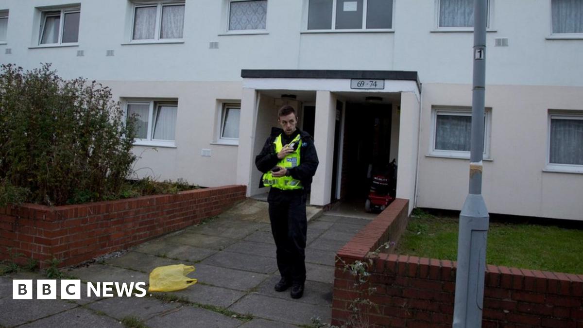 Luton body in bin: Woman found dead had just given birth - BBC News