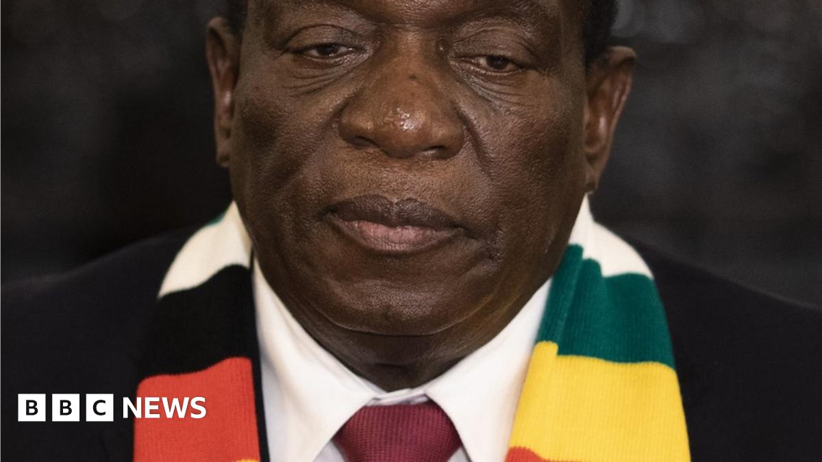 Zimbabwe election: Inauguration delayed after result challenged - BBC News