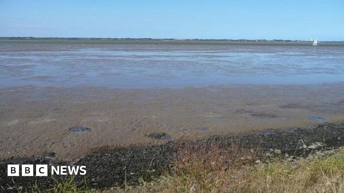 Breydon Water deaths: Delays in psychiatric referral - BBC News