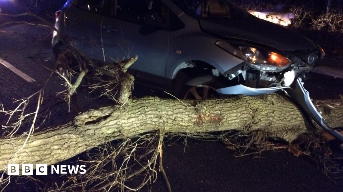 Storm Imogen: Car hits fallen tree in Southampton - BBC News