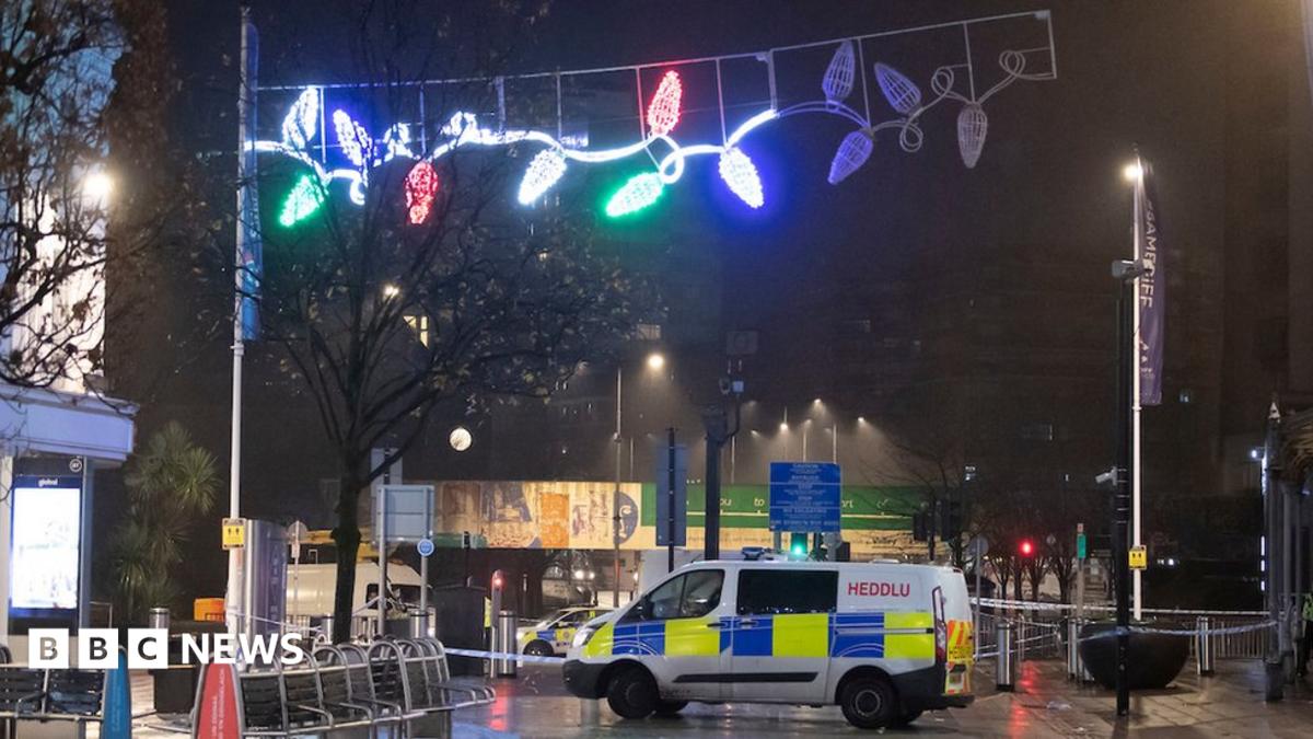 Cardiff violence: Police to check city revellers for knives - BBC News