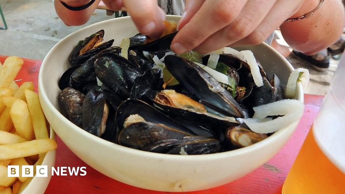 Plastic and other waste found in British mussels - BBC News
