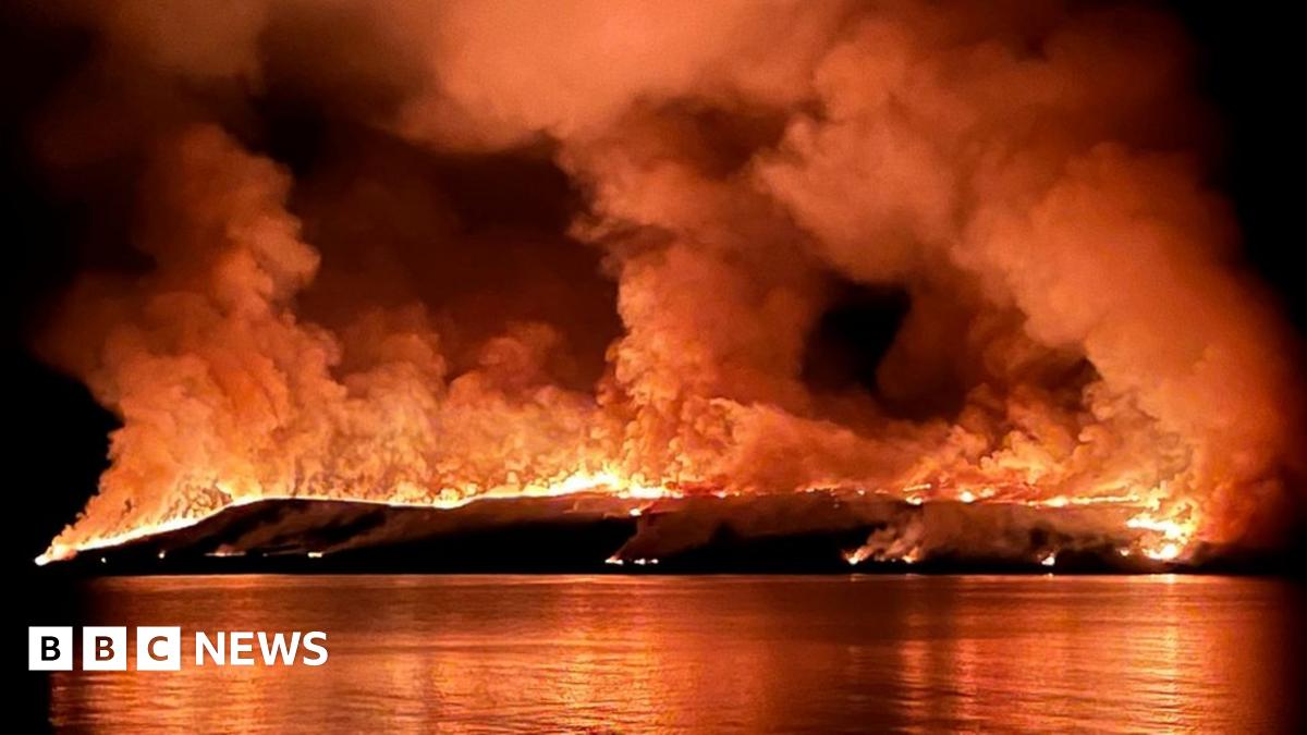 Gruinard Island: Fire on island used for Anthrax experiments - BBC News