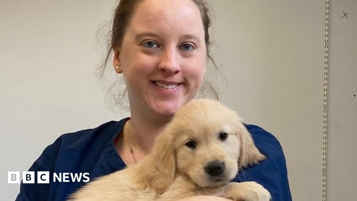 Guide dog work lifts former Warwick teacher's mental health - BBC News