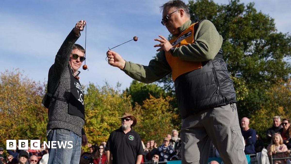 World Conker Championships: What makes for an all-conquering horse ...
