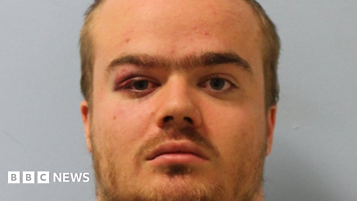 Tate Modern attack: Jonty Bravery had history of violence, report finds ...