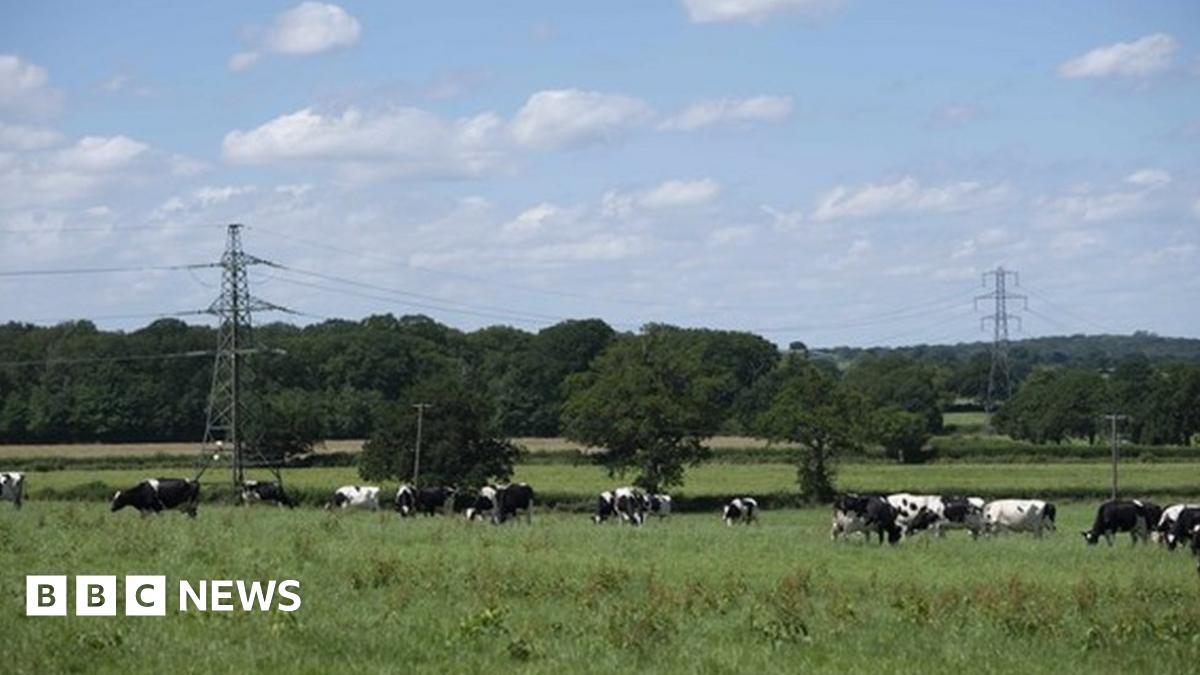 Consultation over Wales to Shropshire power line plans - BBC News