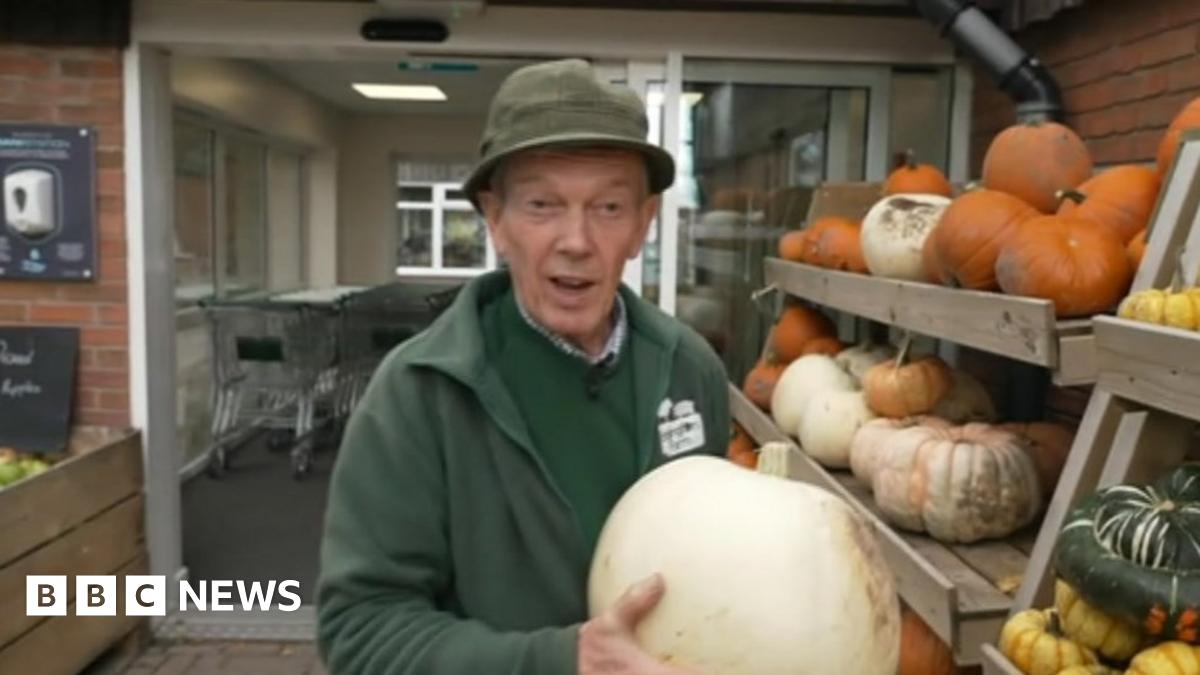 Wolverhampton pumpkin patch production plumps seven fold for Halloween ...
