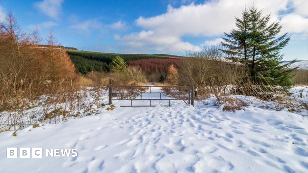 Heavy snow showers forecast for parts of Northern Ireland - BBC News