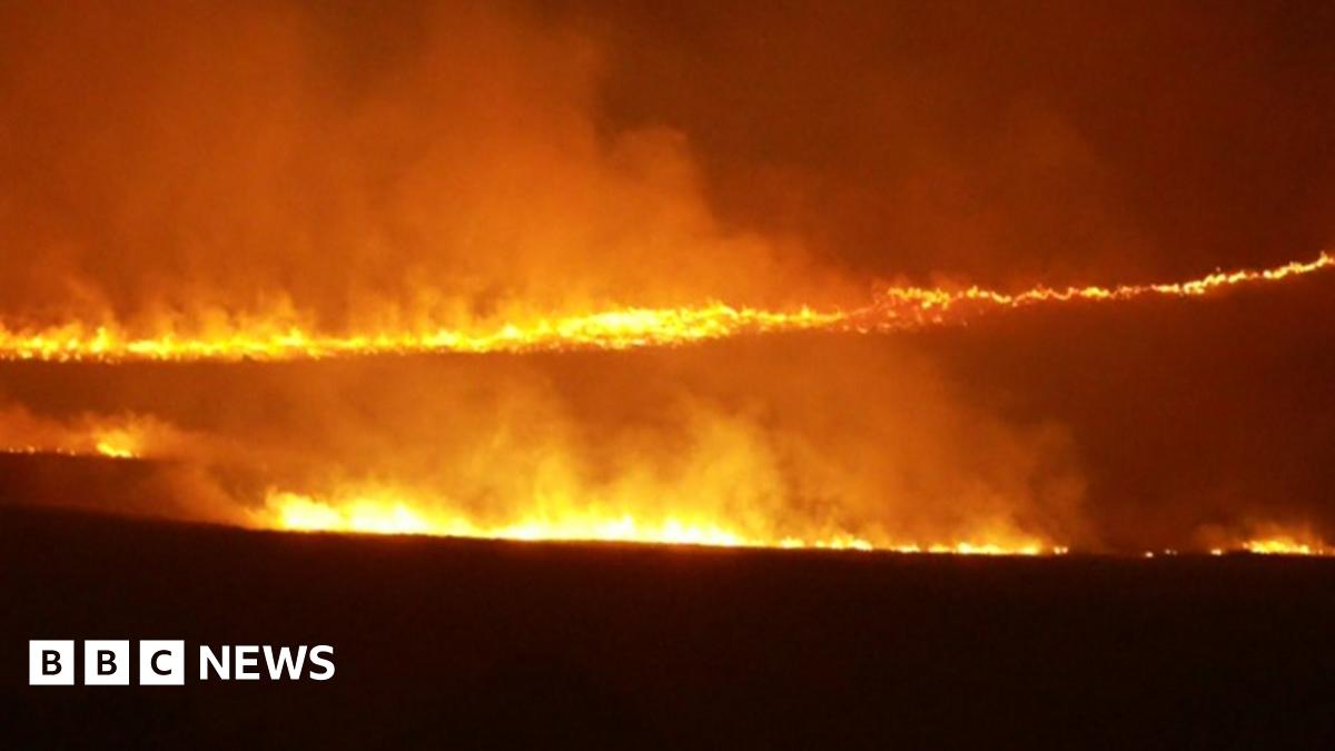 NI Fire Service warns of 'devastating impact' of wildfires - BBC News