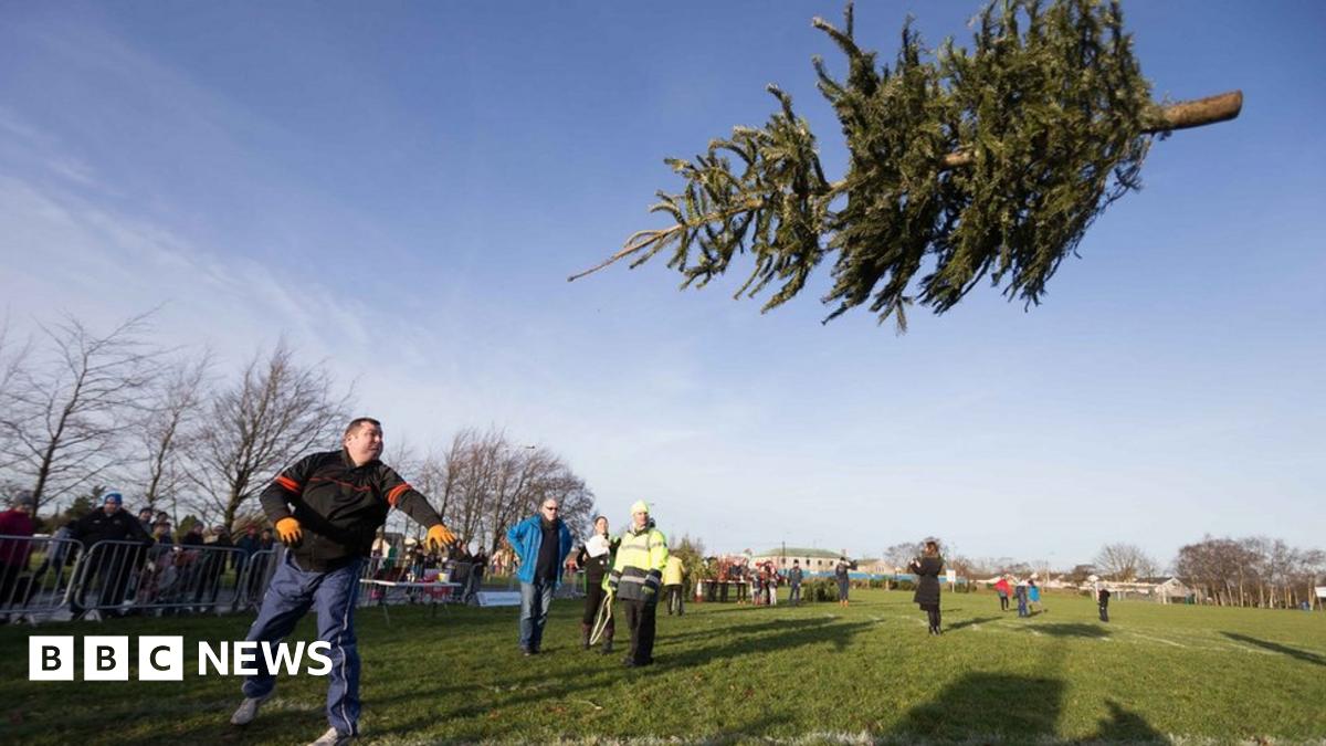 Christmas tree throwing contest held in Ireland - BBC News