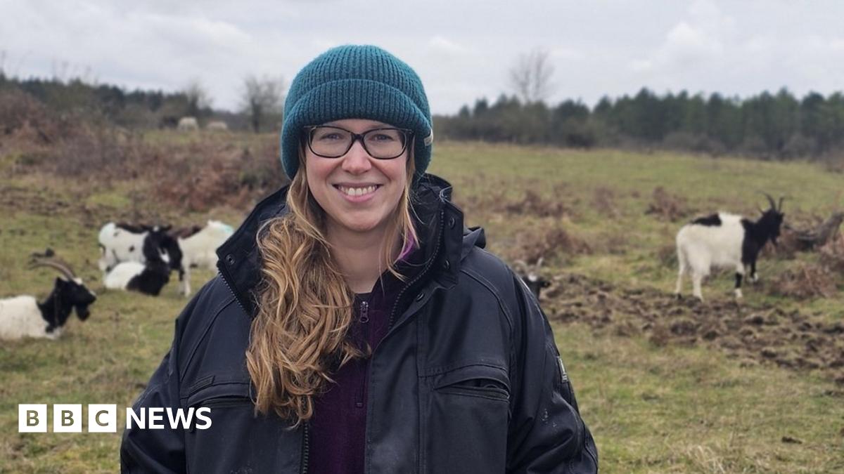 Cromer bagot goats to be used for breeding in Thetford - BBC News