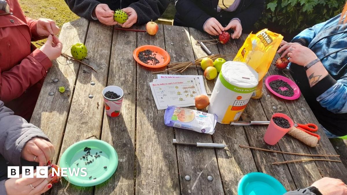 Wells: Free nature walks to help neuro-divergent people - BBC News