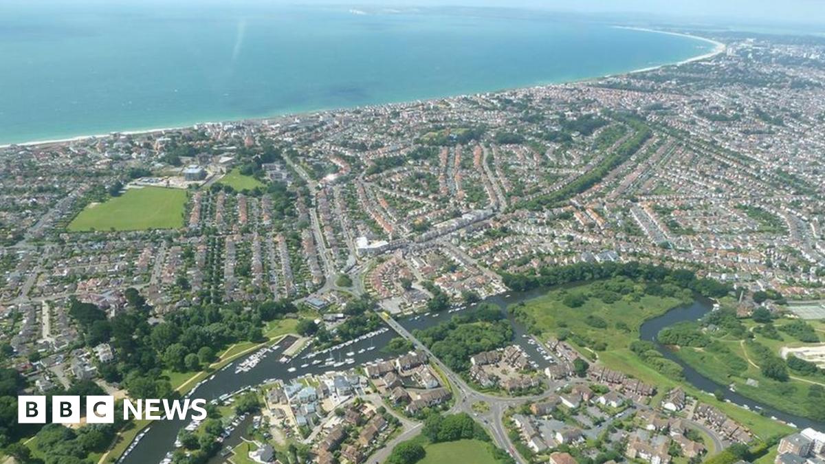 Dorset councils merger plan survey 'is representative' - BBC News
