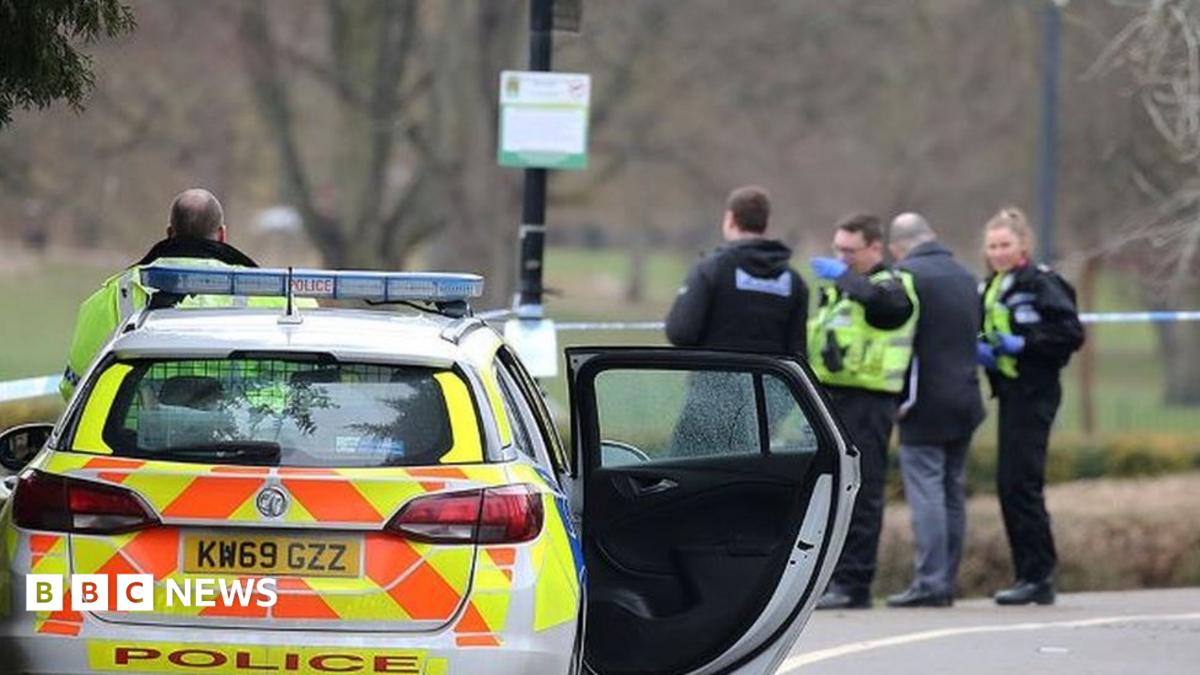 Hertfordshire Police investigating Gadebridge Park attack - BBC News