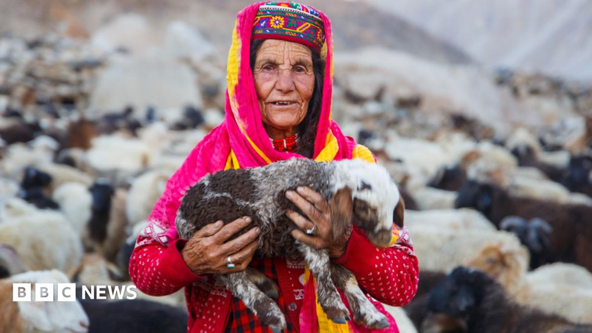 The last of their kind: The unique life of Pakistan's Wakhi ...