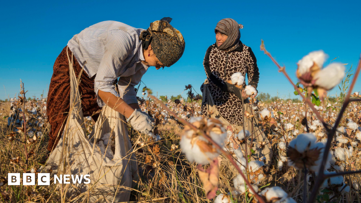 Uzbek region promises TVs for top cotton pickers - BBC News