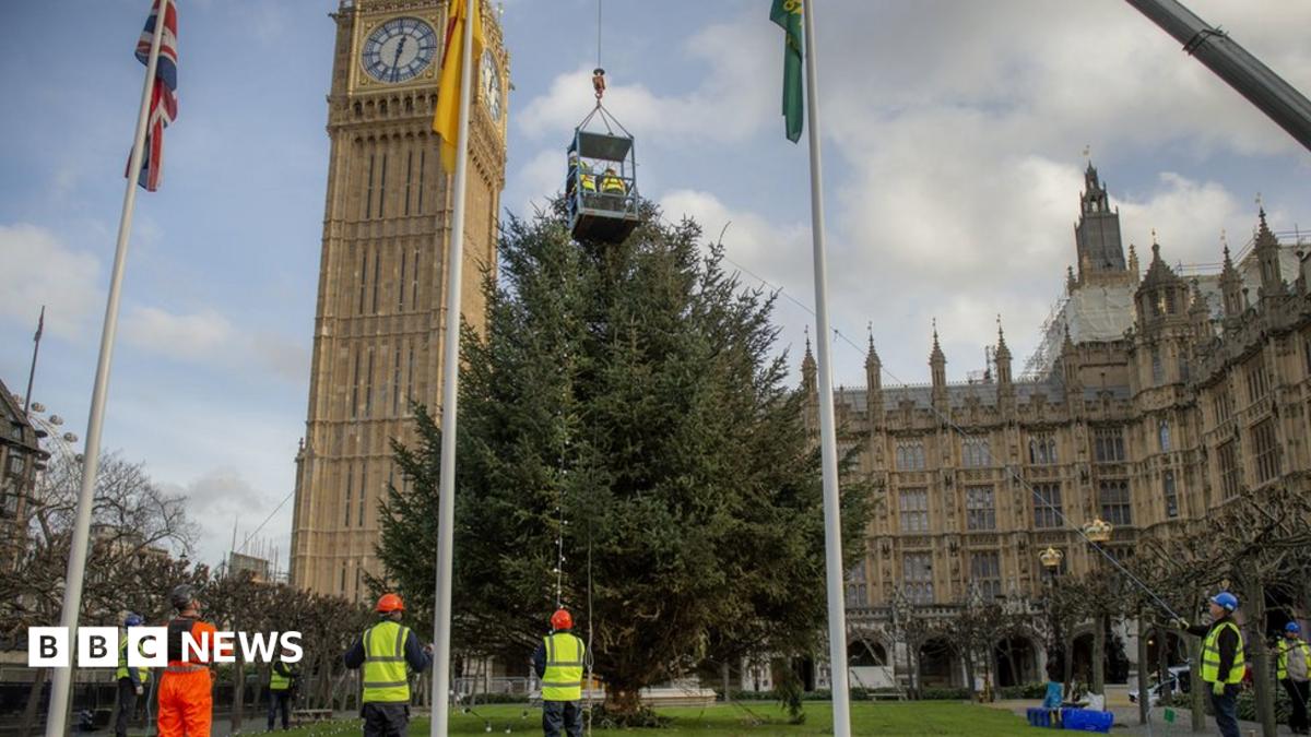 What's happening in Parliament next week? - BBC News