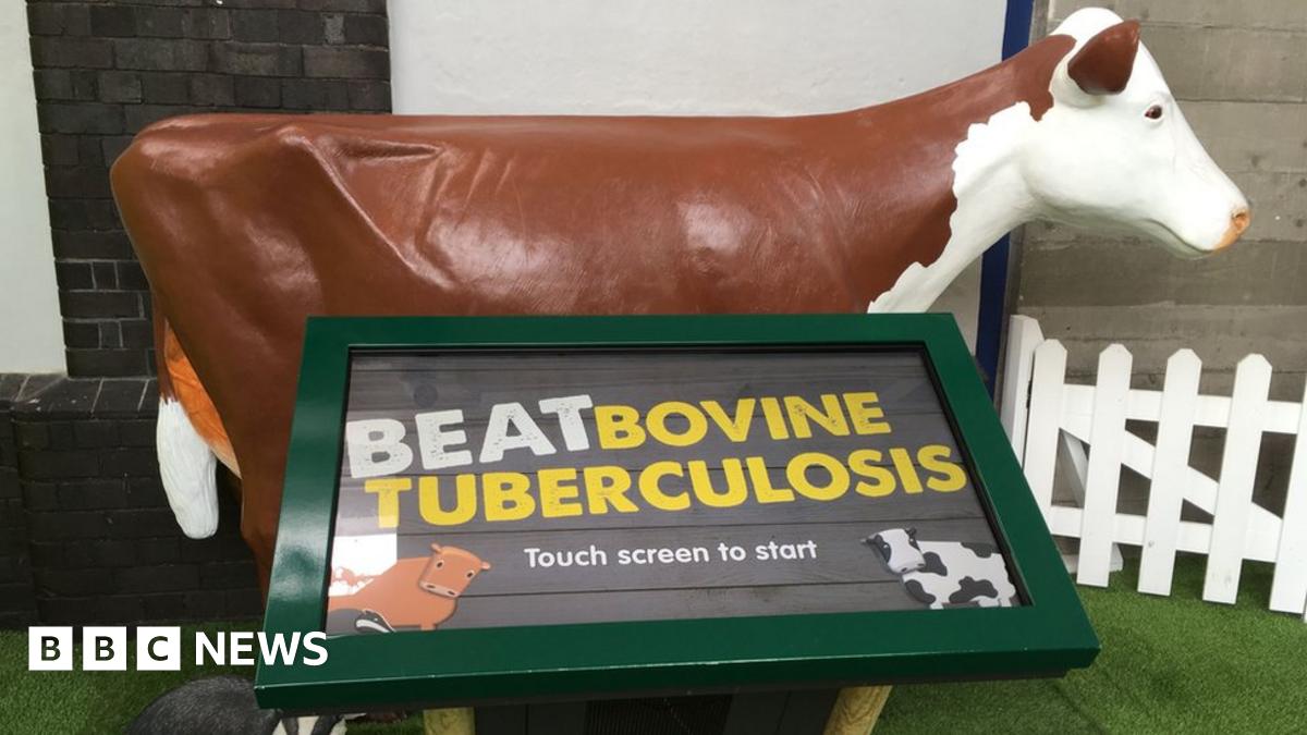 Cow cull game removed from Bristol museum - BBC News